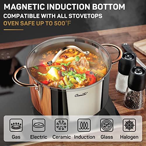 Ciwete 8 Quart Stock Pot, 18/10 Tri-Ply Stainless Steel Whole Clad Stock Pot with Lid, Integrated Process, 8 QT Soup Pot with Copper Handle, Induction Stockpot, Oven, Gas, Dishwasher Safe