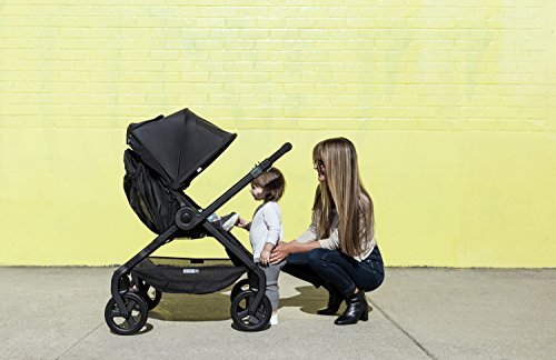 Ergobaby Stroller, Travel System Ready, 180 Reversible with One-Hand Fold, Black