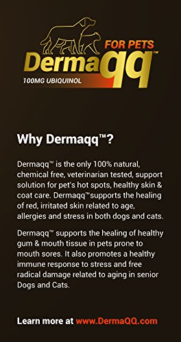 Dermaqq Ubiquinol - CoQ10 for Dogs and Cats Hot Spots, Hair Loss, Dermatitis Support (2 Boxes - 100MG softgels)