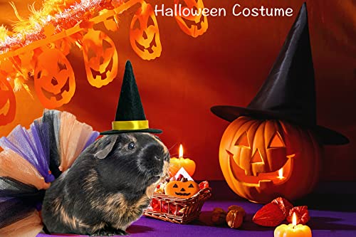 CooShou 3Pcs Guinea Pig Halloween Costume Small Animals Witch Hat Halloween Bandana Triangle Scarf for Guinea Pig Chinchilla