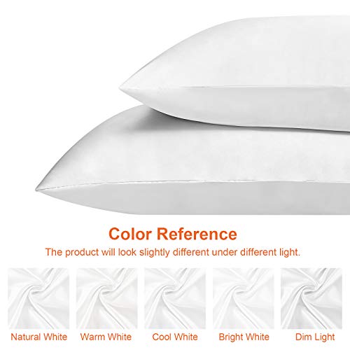 EHEYCIGA Satin Pillowcase for Hair and Skin Silk Pillowcase Set of 2 White Soft Pillow Cases 2 Pack Queen Size 20X30 Inches with Envelope Closure
