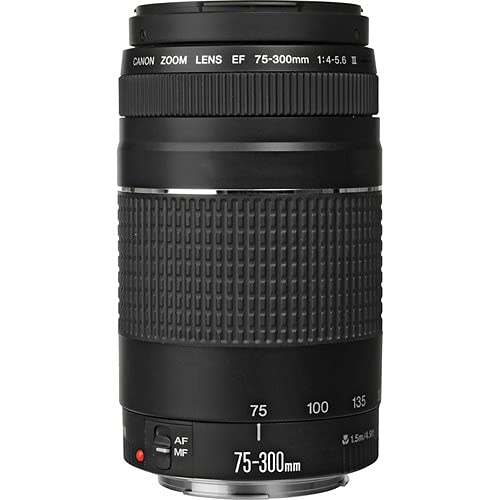 Canon EOS Rebel T7 DSLR Camera with 18-55mm EF 75-300mm f/4-5.6 III Lens+Commander Starter Kit+Lens Filters+CASE+64Memory Card(18PC)