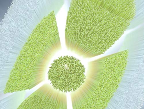 Toothbrush Heads by Philips Sonicare DiamondClean Compact Sonic Toothbrush Heads HX6074/26 x 4