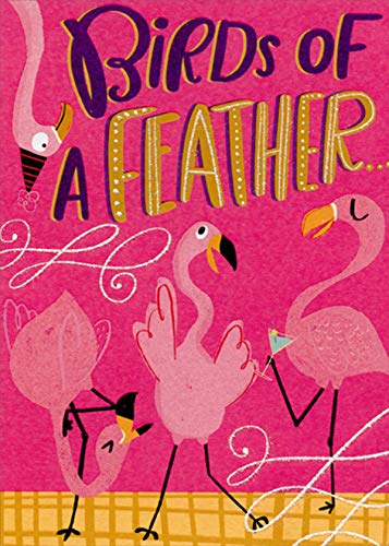 Designer Greetings Birds of a Feather : Pink Flamingos Funny/Humorous Birthday Card
