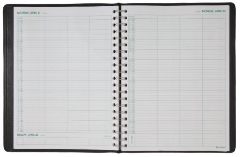AT-A-GLANCE Recycled Four-Person Group Daily Appointment Book, 8 x 11 Inches, Black, 2012 (70-822-05)