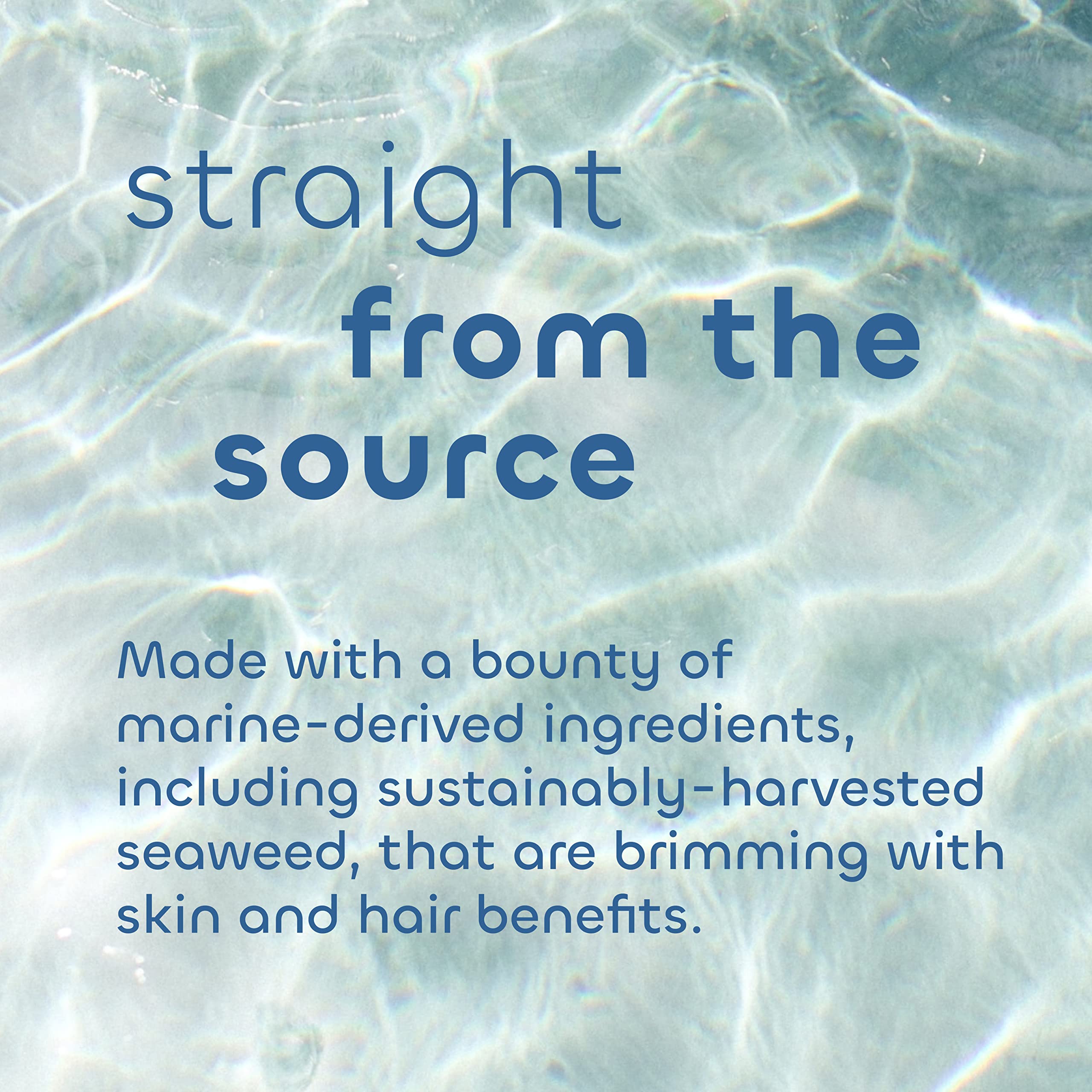 Seaweed Bath Co. Smooth Shampoo, Citrus Vanilla Scent, 12 Ounce, Sustainably Harvested Seaweed, Borage and Broccoli Seed Oils, For Curly and Frizzy Fine Hair