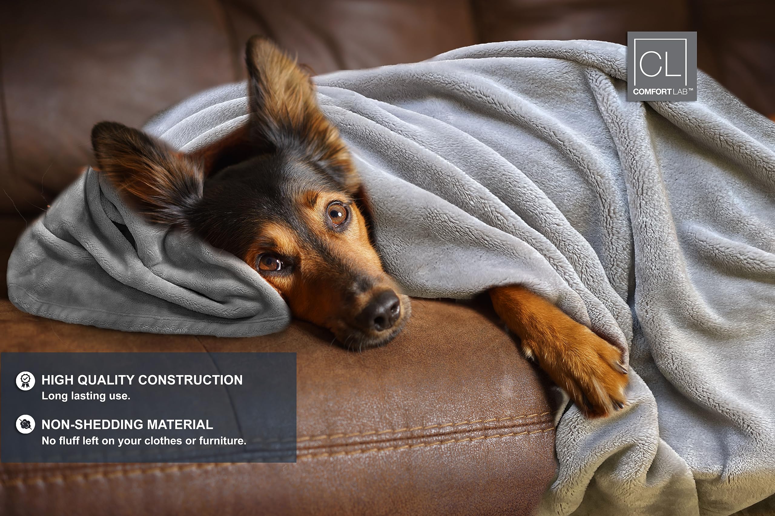 Comfort Lab Plush Flannel Throw Blanket - Soft, Lightweight, Giftable Fleece Blanket for Couch, Bed & Home Decor - Anti Pilling and Non Shedding Fleece Couch Throw - Kids/Pet (40" x 50") - Grey