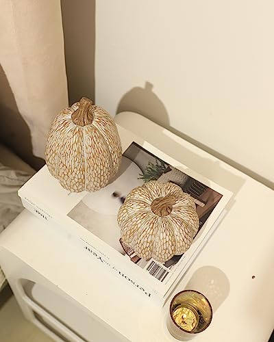 DN DECONATION Thanksgiving Resin Pumpkin Statue, Brown and White Pumpkin Figurine, Faux Decorative Pumpkins for Table Centerpiece, Countryside Autumn Fall, Set of 2, Gift