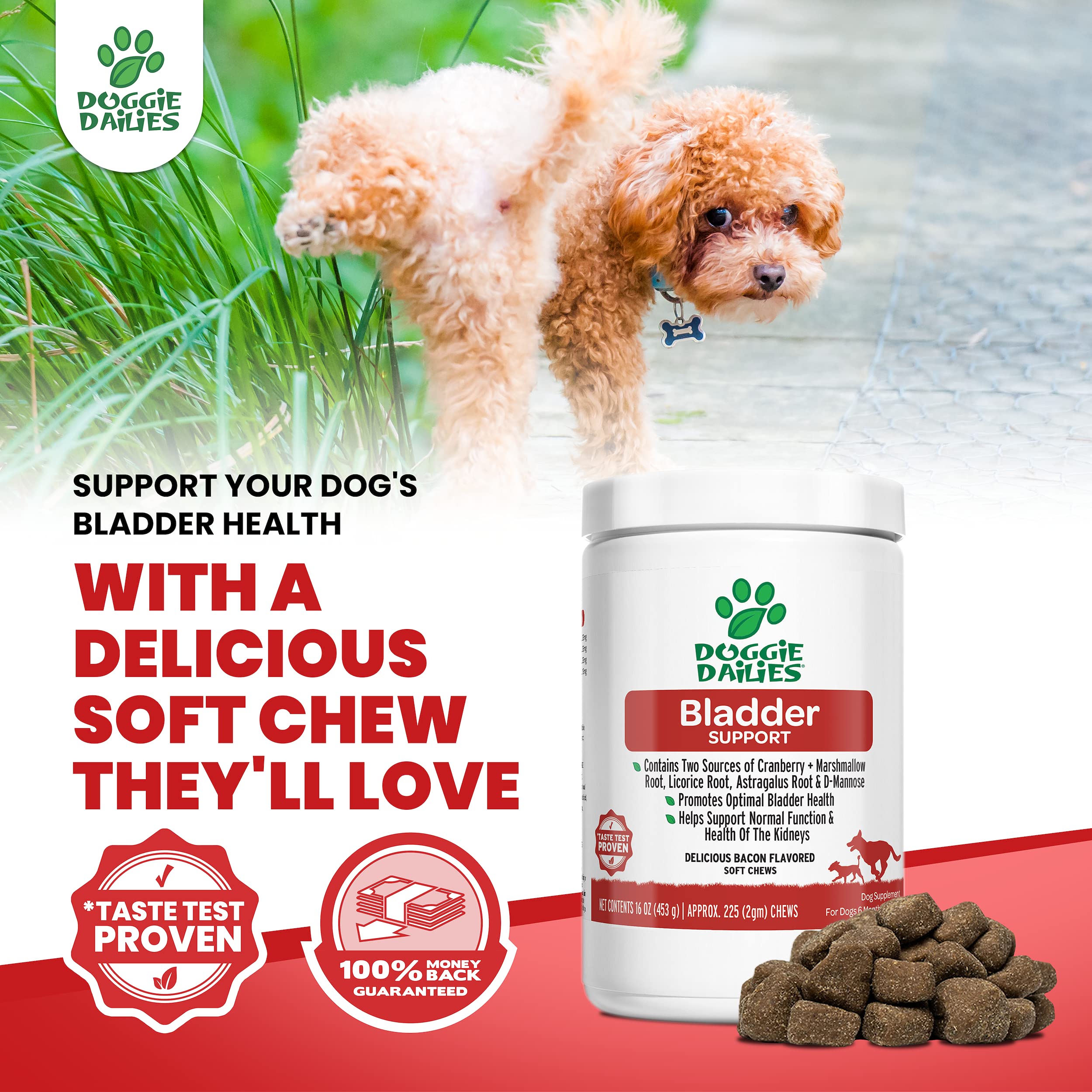 Doggie Dailies Cranberry Supplement for Dogs, 225 Soft Chews, Urinary Tract, Bladder & Kidney Support for Dogs, Cranberry for Dogs with Marshmallow Root, Licorice Root & Apple Cider Vinegar (Chicken)