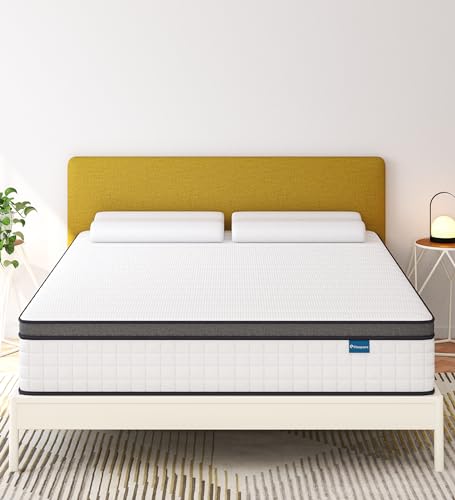 elitespace 10 Inch Memory Foam Hybrid Medium Firm Queen Mattress, Breathable Soft Pressure Relief