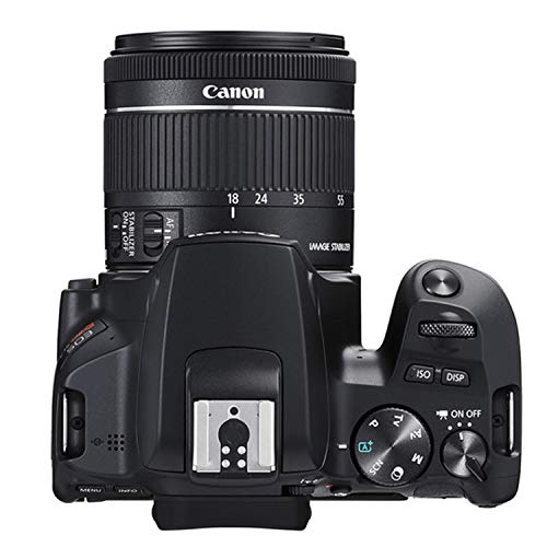 Canon EOS Rebel SL3 DSLR Camera w/EF-S 18-55mm F/4-5.6 STM Zoom LensĀ + 64GB Memory, Case, Tripod, Flash, Remote, and More (32pc Bundle)