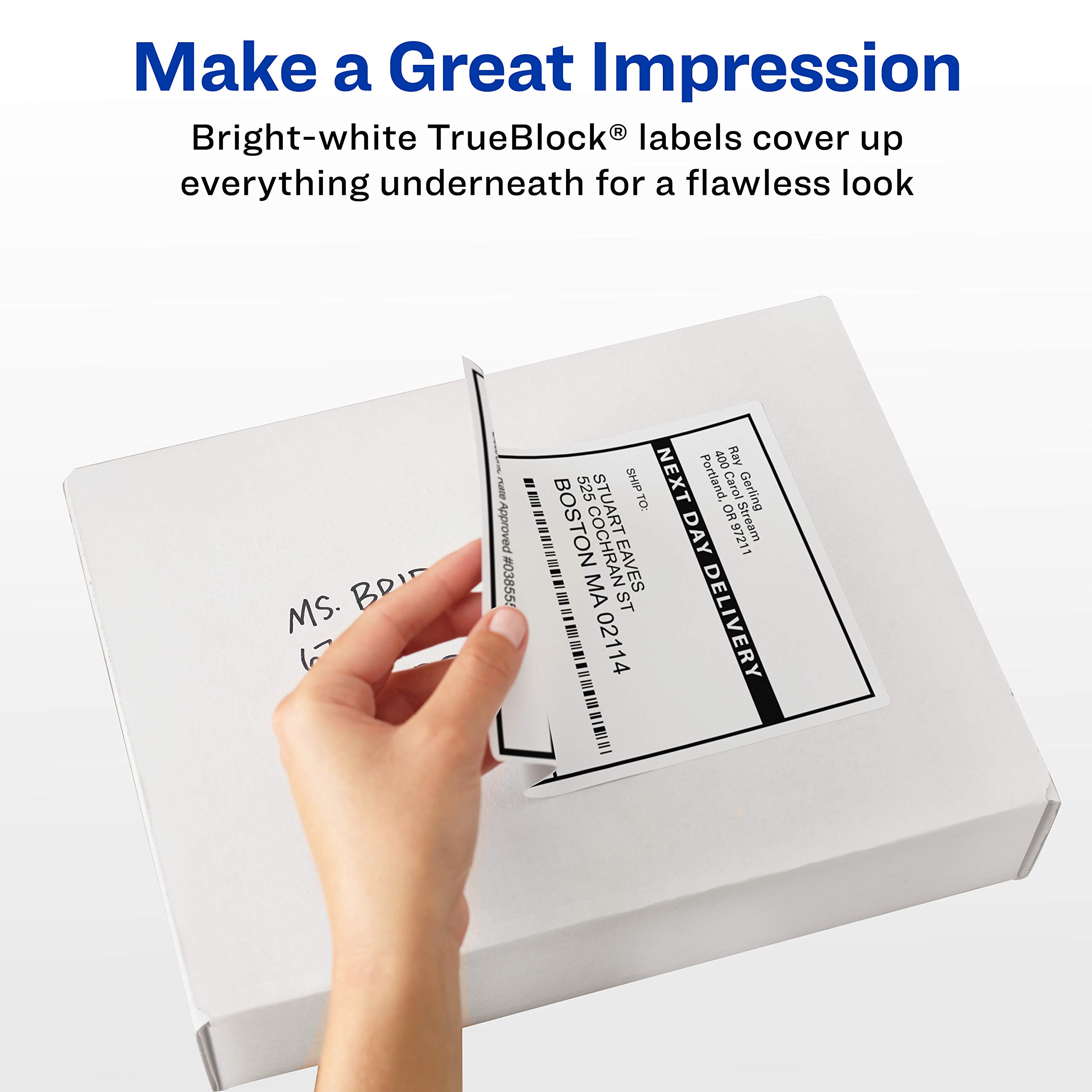 Avery Shipping Address Labels, Laser Printers, 3,000 Labels, 3-1/3x4 Labels, Permanent Adhesive, TrueBlock (95905)