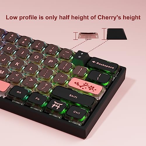 dagaladoo XVX 125 Keys Low Profile Sakura Pudding keycaps,Dye Sublimation PBT Keycap,Transparent keycaps,Suitable for most60% 65% 70% 100% Cherry Gateron MX Switches Mechanical Keyboard