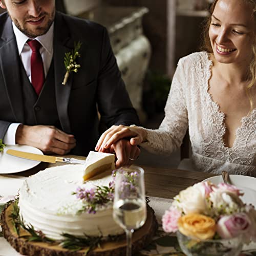 Homi Styles Wedding Cake Knife and Server Set | Plastic Faux Crystal Handles & 420 Stainless Steel Titanium gold plated Blades | Cake Cutting Set for Wedding Cake, Birthdays, Anniversaries, Parties