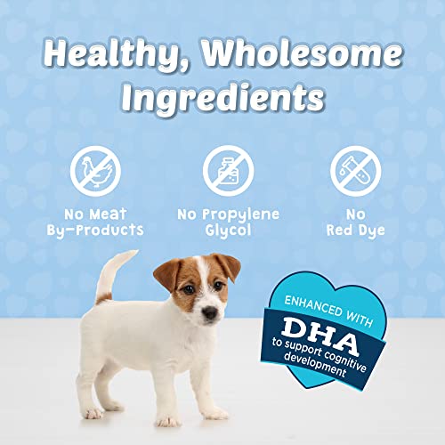 Blue Buffalo BLUE Bits Natural Soft-Moist Training Dog Treats TO-GO, Chicken Recipe 1-oz Bags (Pack of 12)