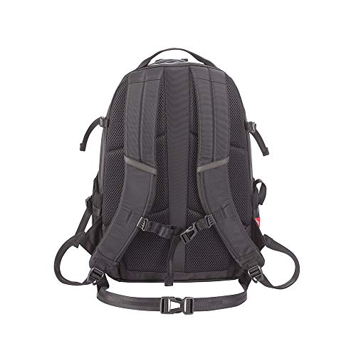 Coleman Elia 15 (Black)