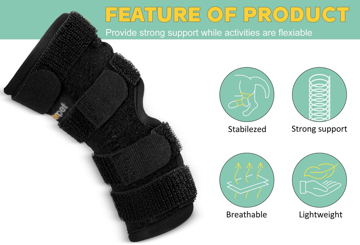 Lyderpet Dog Leg Brace for Rear Hock & Ankle, Canine Hind Leg Joint Compression Wrap for Torn ACL & CCL, Back Leg Injury and Sprain Protection, Helps with Elderly Dogs Activies and Arthritis (L)