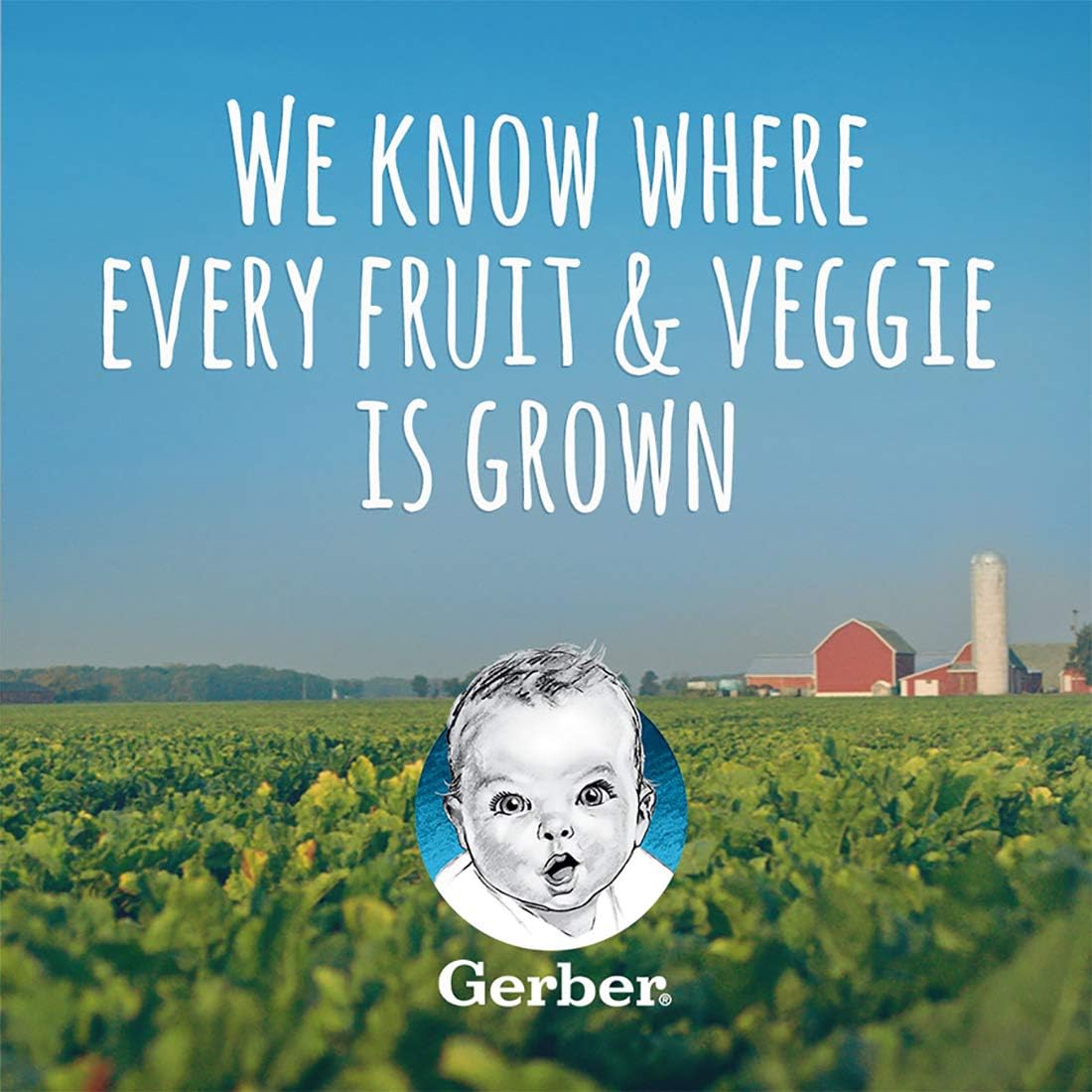 Gerber Baby Food, 2nd Foods, Pear Cinnamon with Cereal 8 Ounce (Pack of 8)