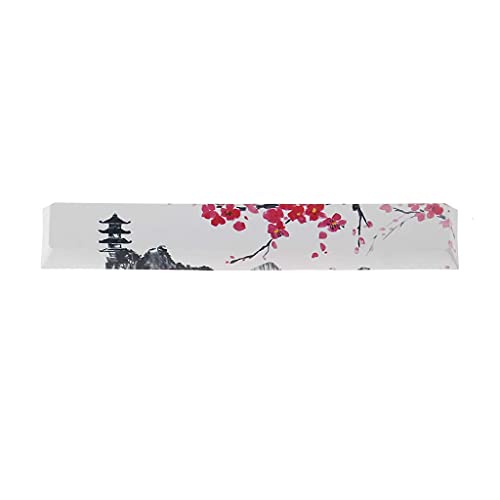 Spacebar Keycap, 5-Side Dye-subbed PBT Spacebar Keycap 6.25U Cherry Profile Keycap for DIY Mechanical Gaming Keyboard