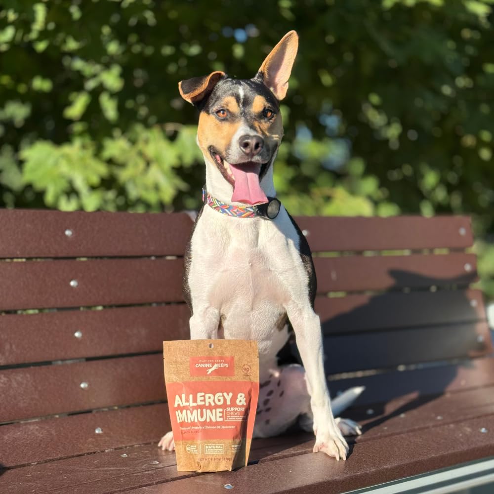 Canine Keeps Dog Allergy Chews - Itch Relief for Dogs β Omega 3 Salmon Fish Oil, Probiotics & Quercetin - Immune Support & Dog Allergy Relief Chews β Digestion + Skin & Coat Health - 90 Ct.
