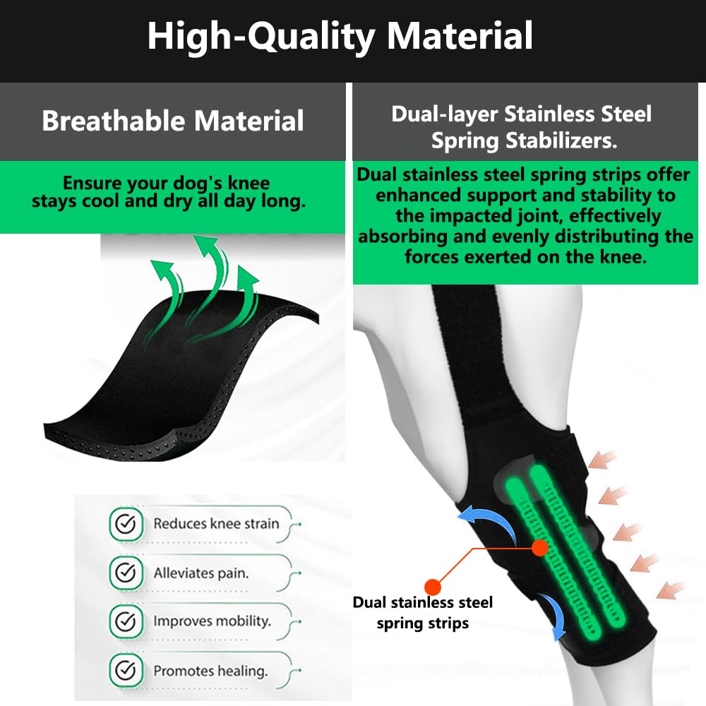 Premium Dog ACL Knee Brace for Torn ACL Hind Leg Support - Cruciate Care & Recovery, Adjustable Leg Braces for Back Leg, Hip Support - Small, Medium, Large Sizes with Extra Stabilizers (Black, M)
