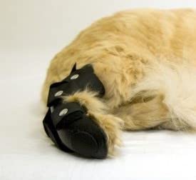 OrthoVet Standard Rear Splint for Dogs and Cats with Arthritis or Injuries (XXS)