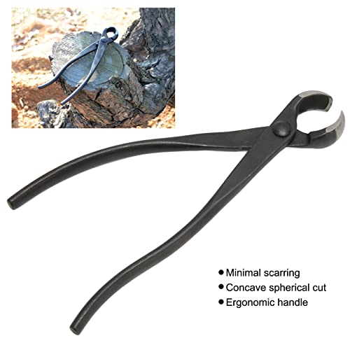 Branch Scissors, 8.3in Long Wide Application High Strength Manganese Steel Tree Cutter for Plant for Branch for Bonsai