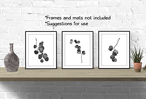 Black And White Wall Art - Eucalyptus Leaves - Botanical Art Prints - Minimalist Pictures - Set of 3-8x10 - Unframed
