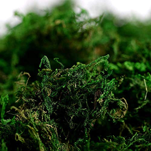 Farmoo Fake Moss for Crafts, Artificial Green Moss for Potted Plants Centerpieces Decor (3.5OZ)