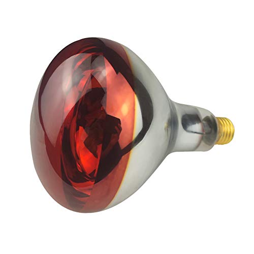 BONGBADA Heat Lamp Bulb R40 250 Watt 2 Pack Painted Red Infrared Glass Lamp Bulb for Food Service, Brooder Bulb, Chicks, Pet, Bathroom (Red Painted-1.0 Version, R40/250W)