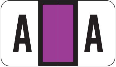 Doctor Stuff - File Folder Labels, Ringbook Sheets, Alphabet Letter A, POS 2000 - PP3R Match Compatible Alpha Stickers, Purple, 15/16" x 1-5/8", 240 Labels per Pack