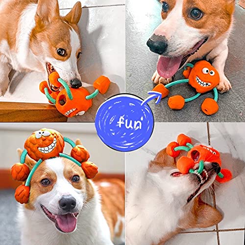 Dog Chew Toy Durable Dog Chew Toys for Puppy Small Large Dog Teeth Cleaning/Chewing/Playing (Orange Apple)