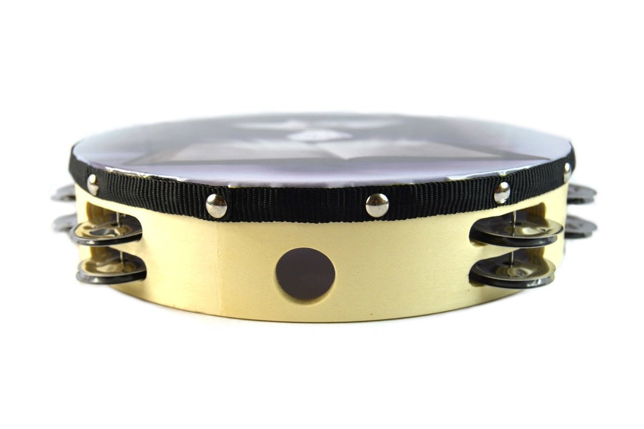 Audiopipe ATMDOV10 Zebra Sound 10 Tambourine