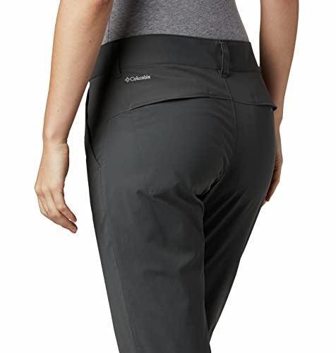 Columbia Women's Standard Saturday Trail Stretch Pant, Grill, 14 Grey