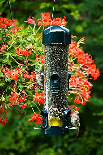 Brome Mega 600 Metal Tube Feeder w/6 Seed Ports, 4 lbs seed capacity