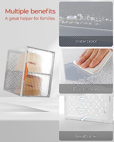 DINMO 10 Packs Shoe Box with Dividers, 20 Pairs, Clear Shoe Storage Organizer, Space Saving for Closet, Visualization, Foldable, White Transparent