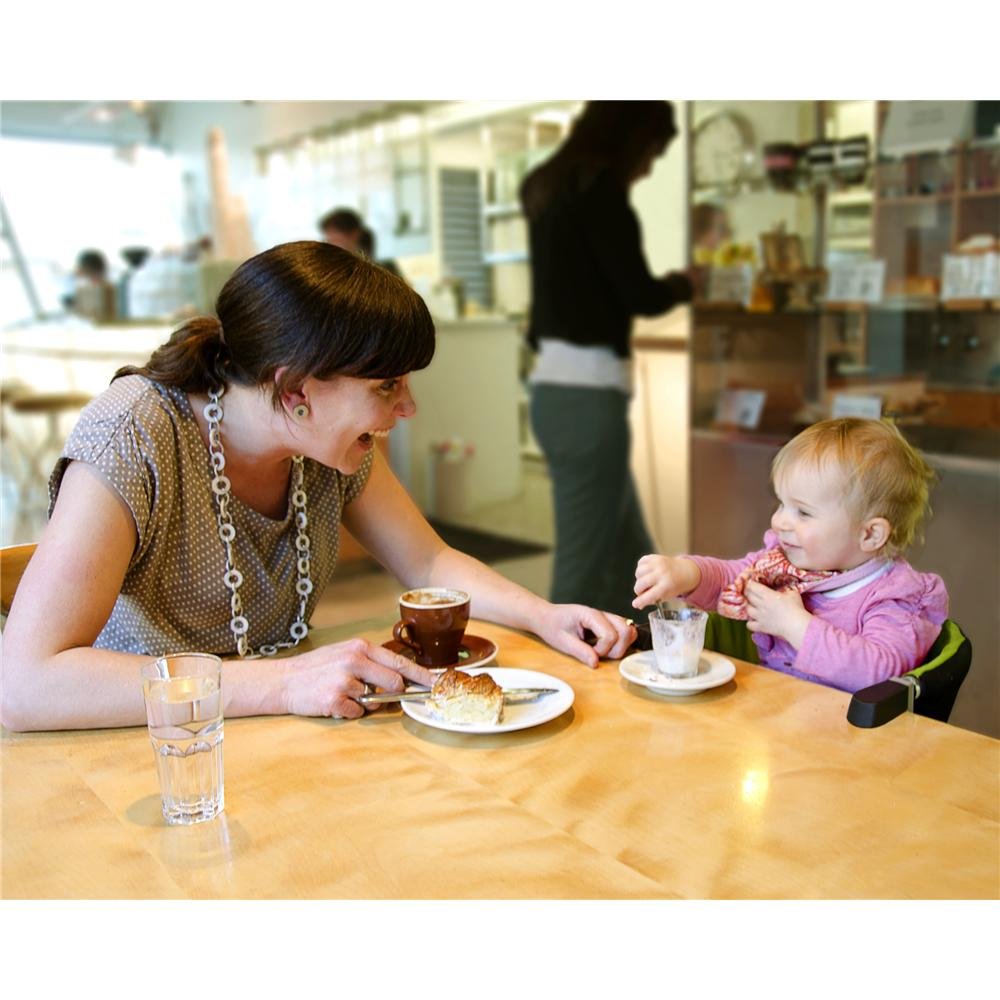 Mountain Buggy Pod Clip-On Highchair, Flint