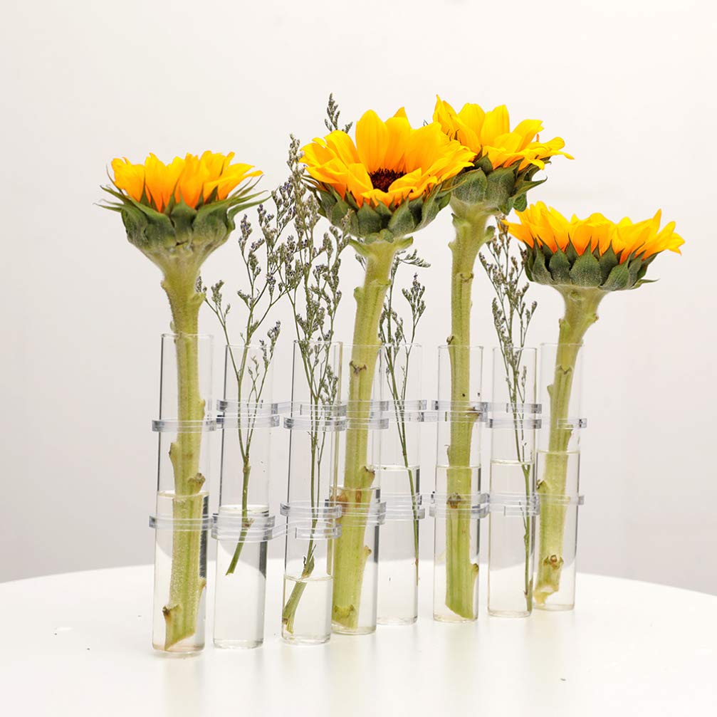 DOITOOL 8Pcs Test Tube Vase Decorative Glass Vase Hinged Bud Test Tubes Vases Planter Arranging Container Hydroponic Holder Decor with Hooks and Brushes 18cm