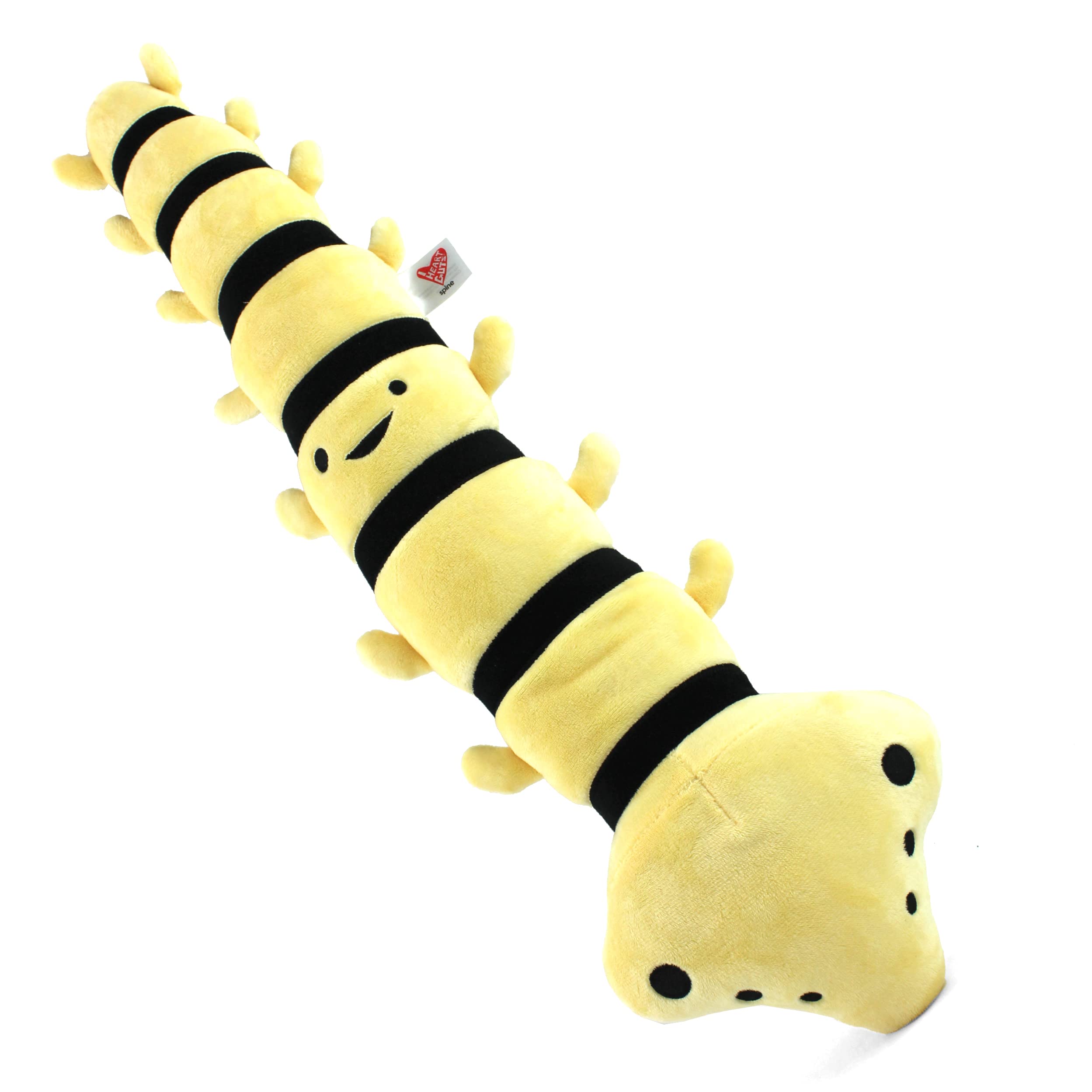 I Heart Guts Spine Plush - Got Your Back - Stuffed Flexible Backbone Vertebrae - Back Surgery Recovery Gifts, Spine Surgeon Gifts for Spinal Cord Injury, Scoliosis, Orthopedic Doctors, & Chiropractors