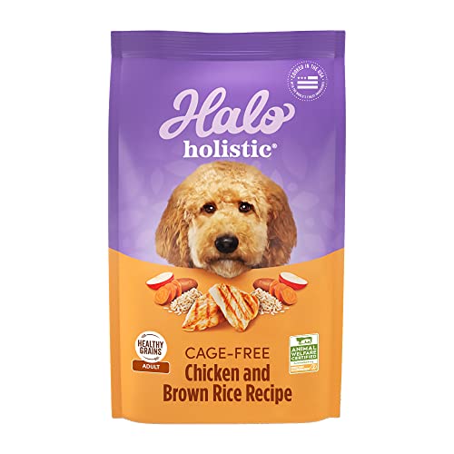 Halo Holistic Adult Dog Healthy Grains Cage-Free Chicken & Brown Rice Recipe Kibble 3.5 lb