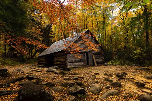 Country Photography Print (Not Framed) Picture of Old Barn Surrounded by Fall Foliage on Autumn Day in Great Smoky Mountains Tennessee Rustic Wall Art Cabin Lodge Decor (8" x 10")