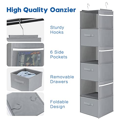 coastal rose 6 Shelf Hanging Closet Organizer with Drawers,Foldable Hanging Closet Organizers and Storage,Closet Hanging Storage Shelves with Pockets,Hanging Clothes Storage Organizer,Grey