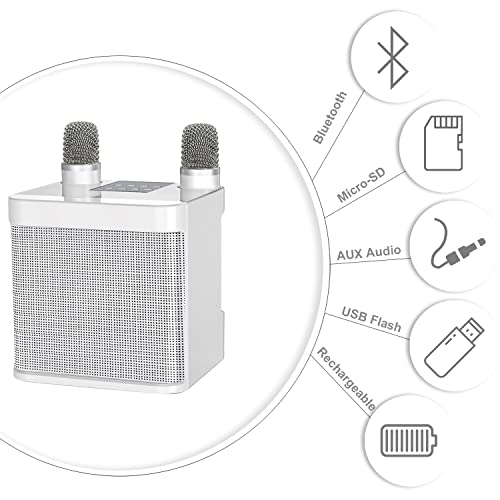 Karaoke Machine for Adults and Kids, Portable Bluetooth Karaoke Speaker for TV, with 2 Wireless Microphones PA Speaker System for Indoor Outdoor Party, Family Party Singing