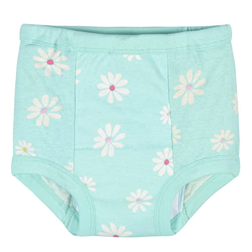 Gerber Baby Girls Infant Toddler 4 Pack Potty Training Pants Underwear Rainbow Turquoise and Pink 2T