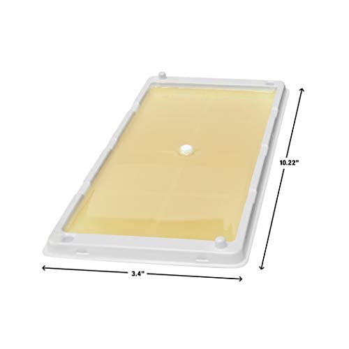 Catchmaster Cold Weather Glue Traps 6PK Mouse Traps Indoor for Home, Pest Control Adhesive Tray, Catch Bugs, Crickets, Spiders, Rats & Rodents, Pet Safe Pre-Baited Glue Boards for House, Shed & Garage