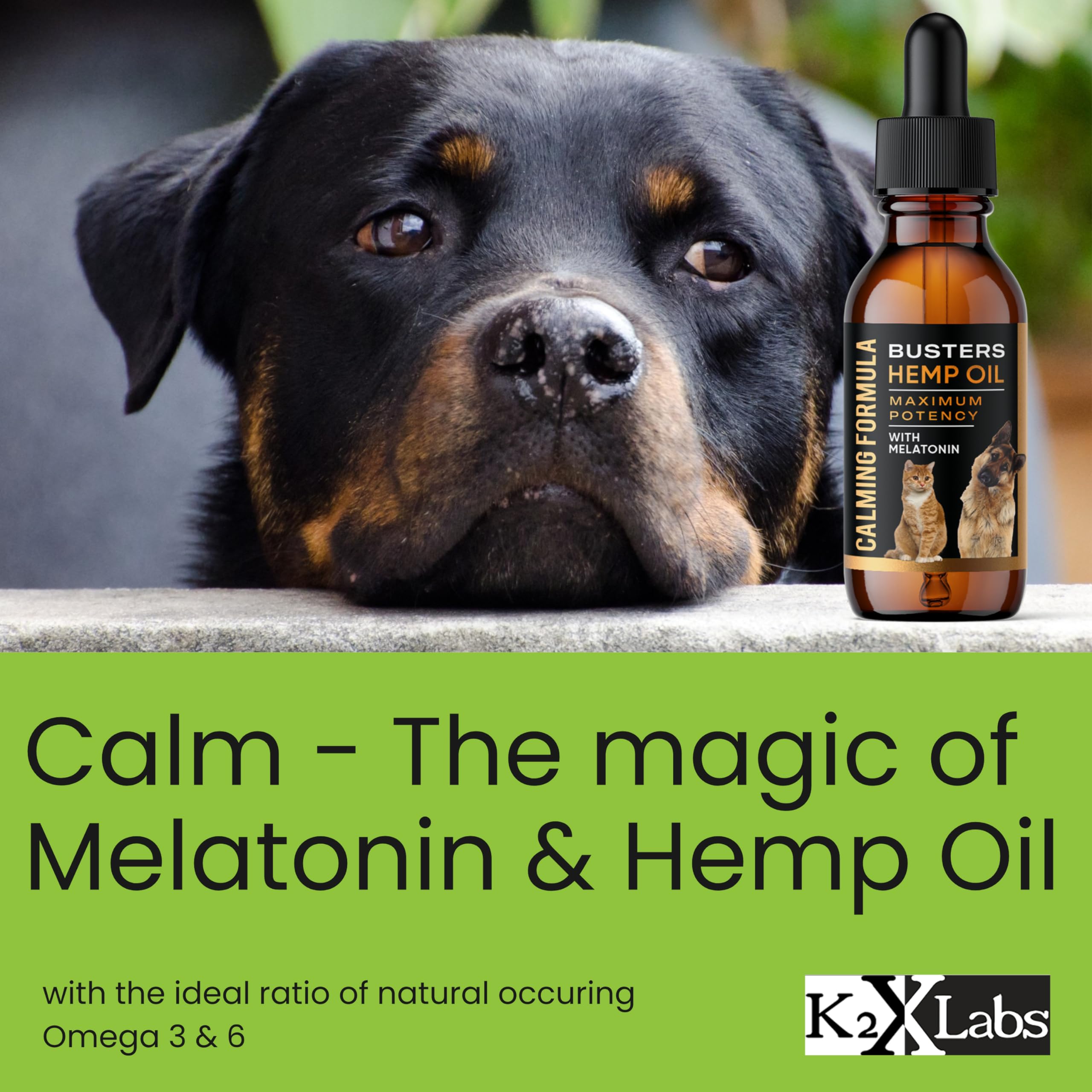Busters Calming Hemp Oil, Enriched with Melatonin for Dogs, Cats, Pets, Sleep Aid, Natural Anxiety Relief, Ideal Omega Ratio, Adrenal and Cushings Support