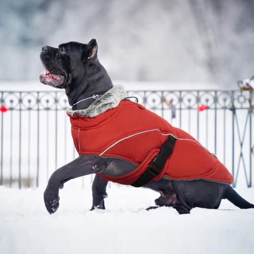 DENTRUN Dog Cold Weather Coats Winter Warm Dog Coat Windproof Cozy Dog Jacket Thick Fleece Vest Water Repellent Apparel with Harness/Leash Hole & Reflective for Outdoor Small Medium Large Dogs