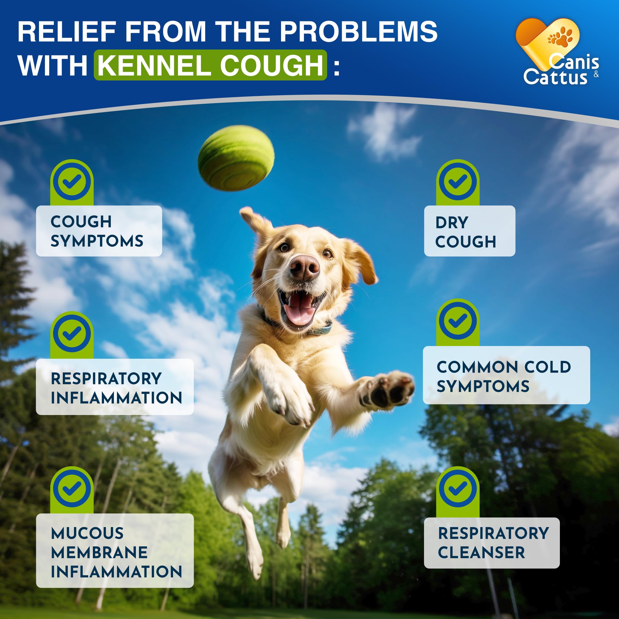 Cat Antibiotic | Dog Antibiotic | Kennel Cough | Cat Probiotic | Dog Vitamins and Supplements | Liquid Probiotics for Dogs | Dog Cough Suppressant | Bundle | 4 Pack