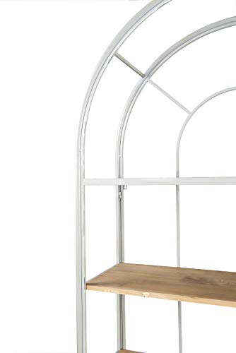 Creative Co-op EC0212 Metal Framed Bookshelf with 5 Wood Shelves Cabinets and Shelf Units, Grey