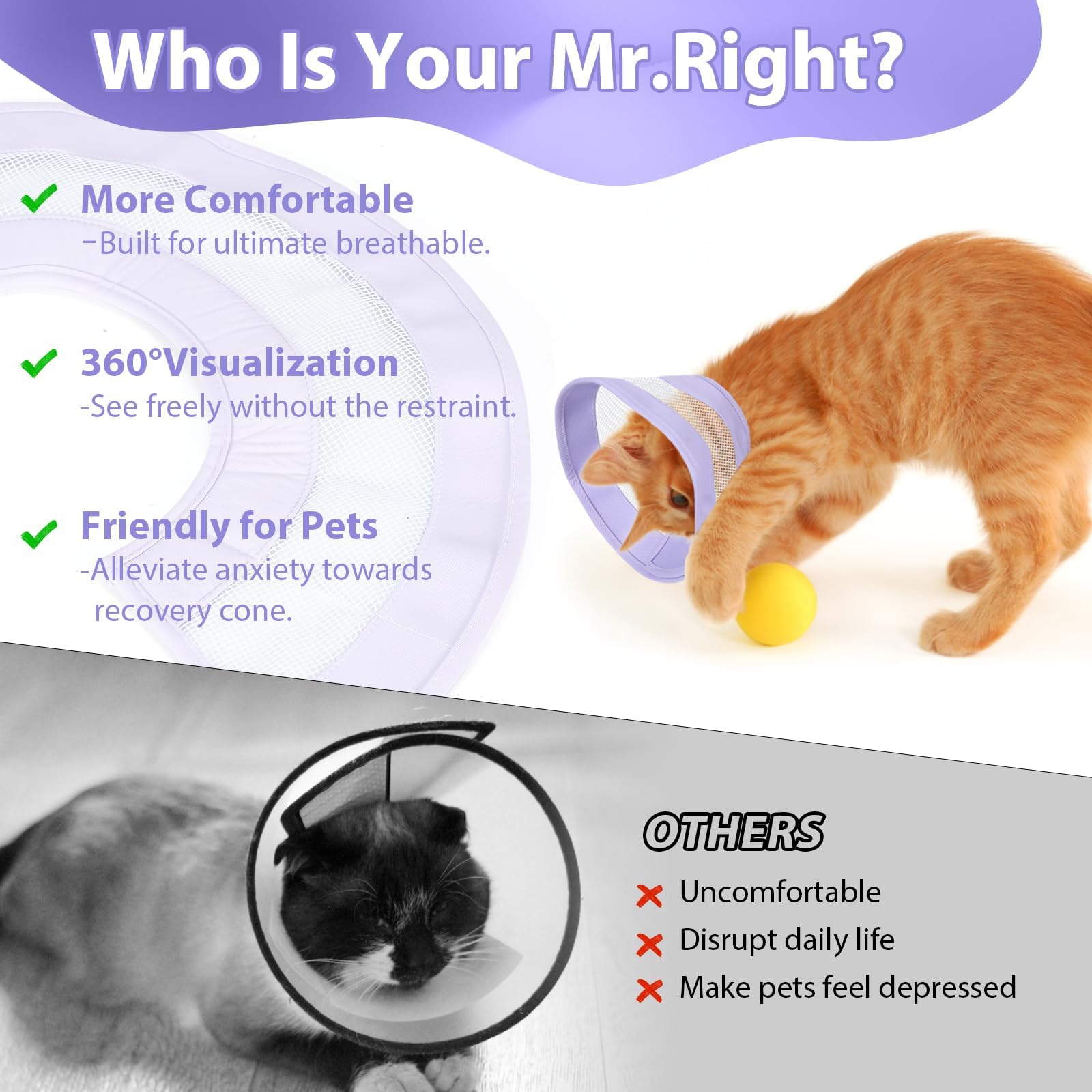 Cat Cone, Soft Cat Cone Collar(Purple, L)
